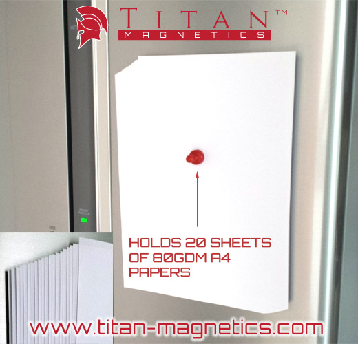 Large Neodymium Pin Magnets 19mm 6pcs - Red